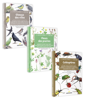 Petits livres de la nature > Boutique - Salamandre