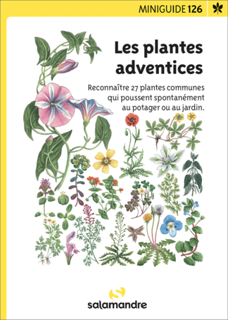 Miniguide 126 - Les plantes adventices > Boutique - Salamandre ...