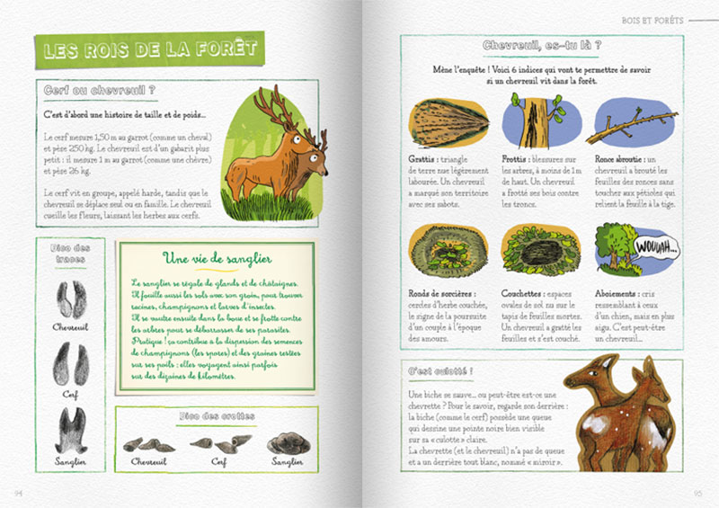 L’Encyclo à malices nature > Boutique - Salamandre > Boutique - Salamandre